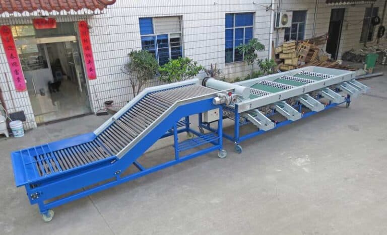 Drum Type Kiwi Fruit Size Grading Sorting Machine | Kiwi Fruit Peeling ...